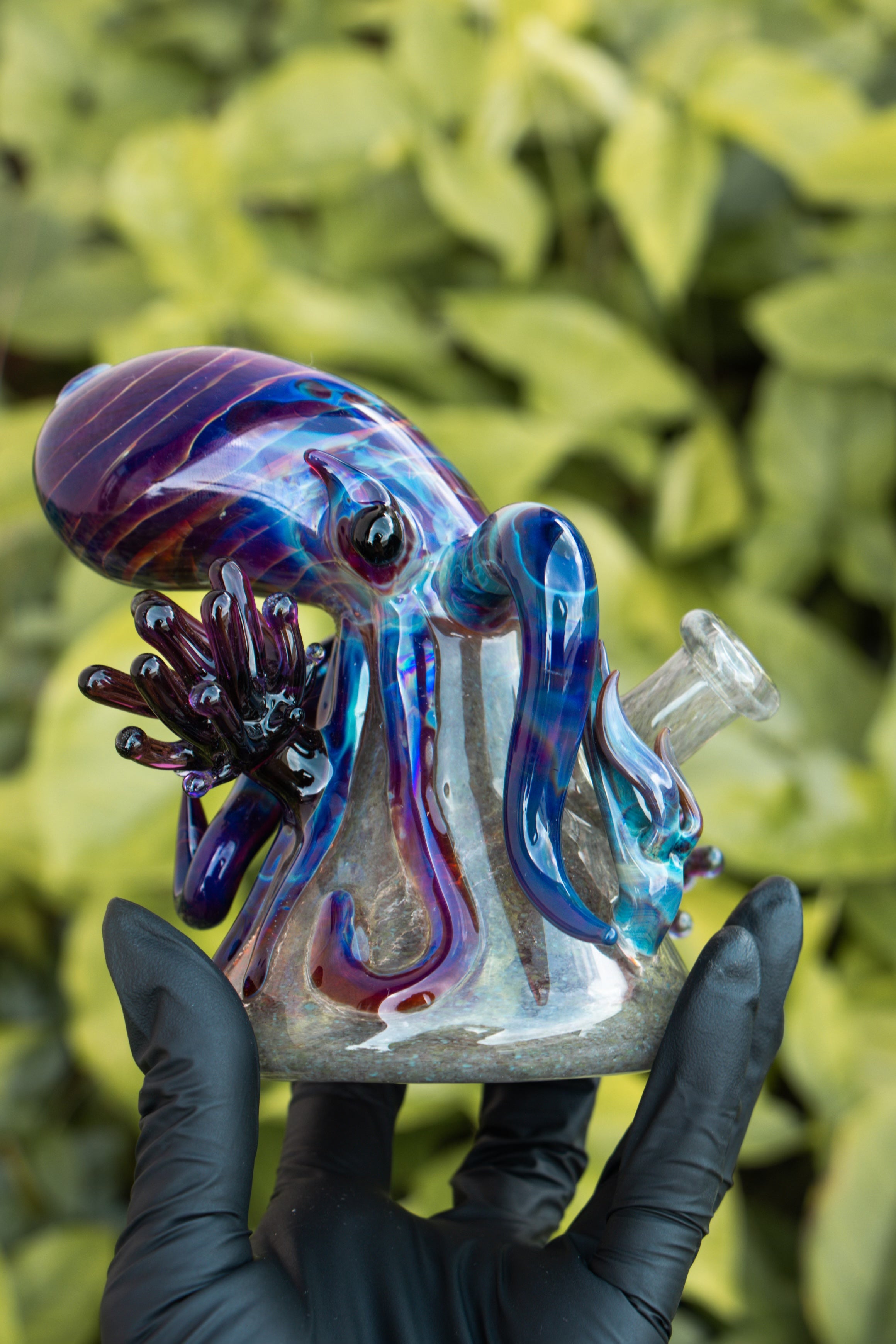 Dabson Glass – Pipeline Smoke Shop Hawaii